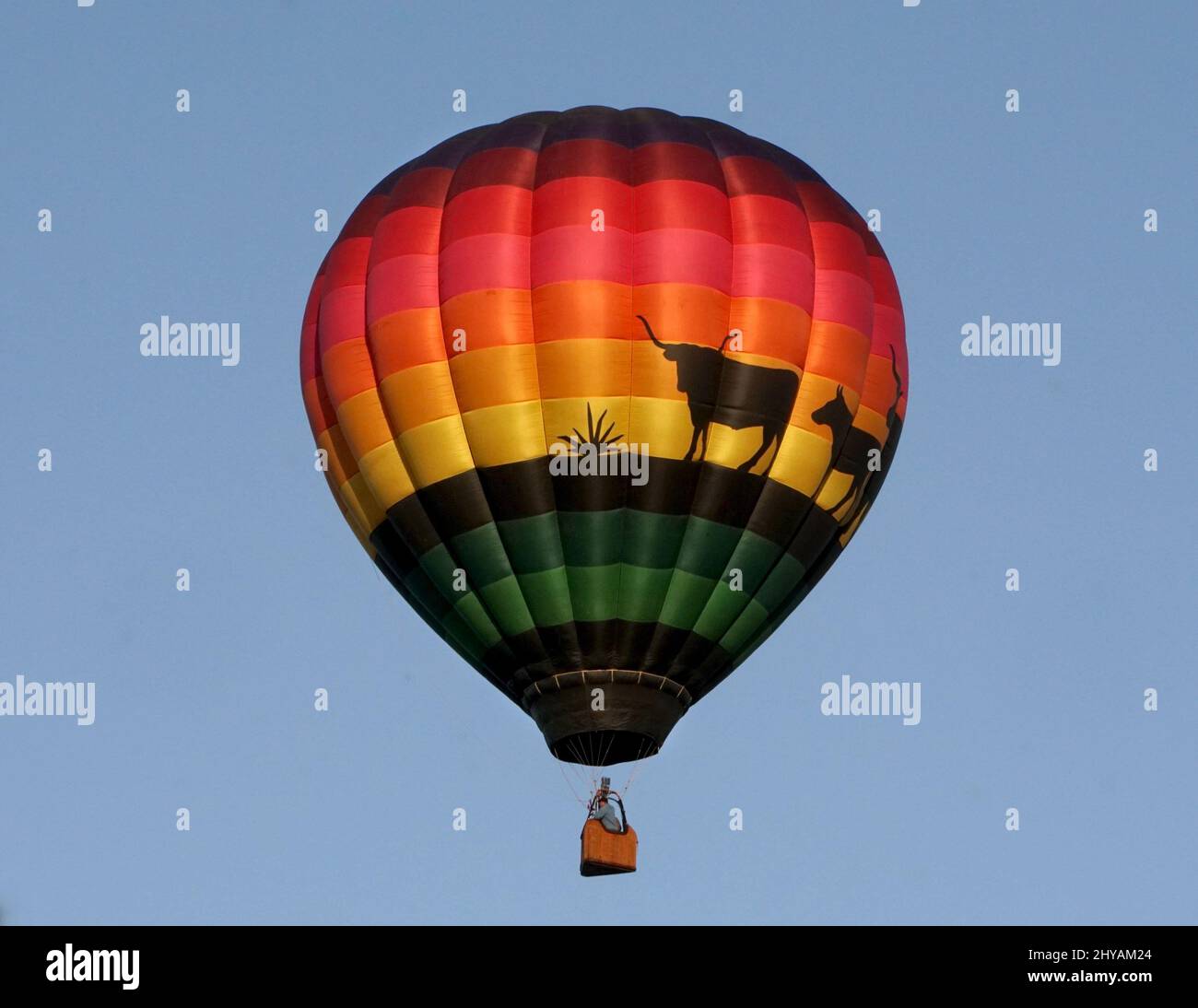 The 45th Albuquerque International Balloon Fiesta “Desert Kaleidoscope ...