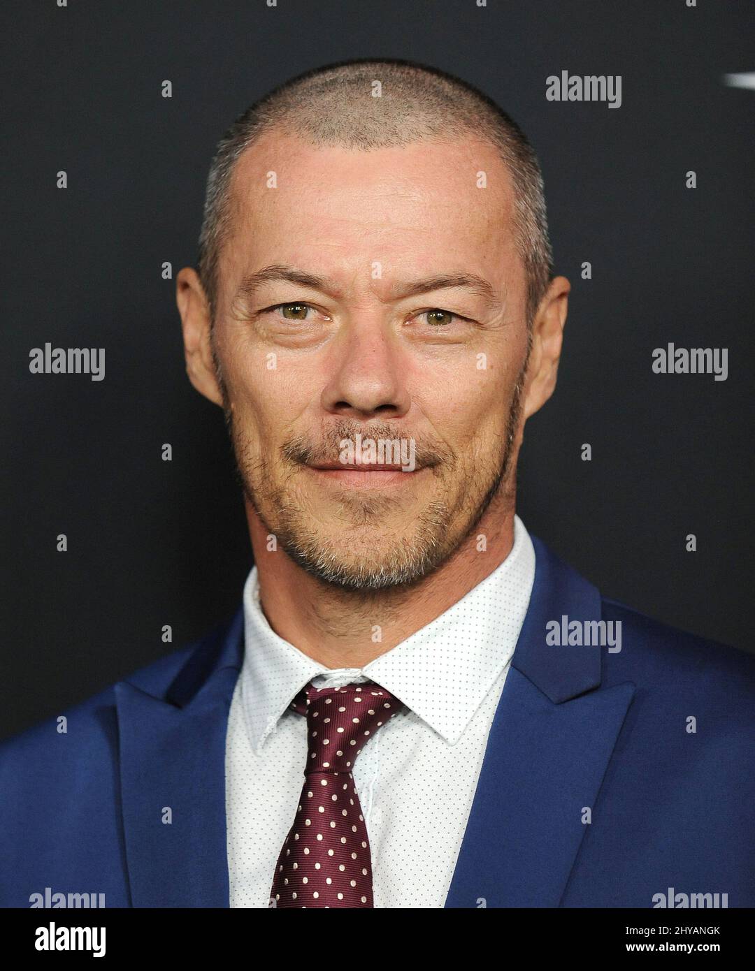 Massi Furlan attending the world premiere of The Accountant at the ...