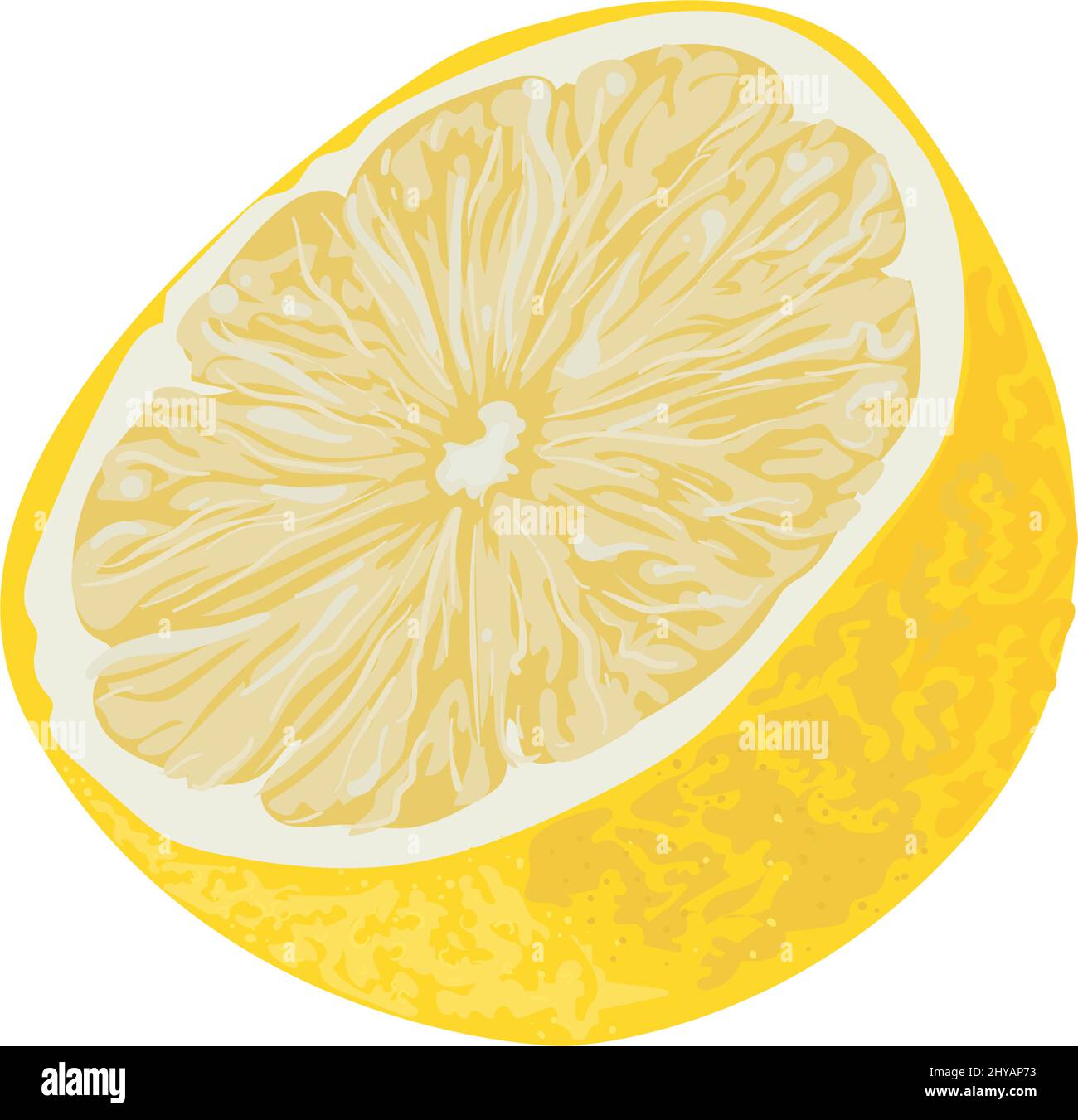 realistic lemon design Stock Vector Image & Art - Alamy