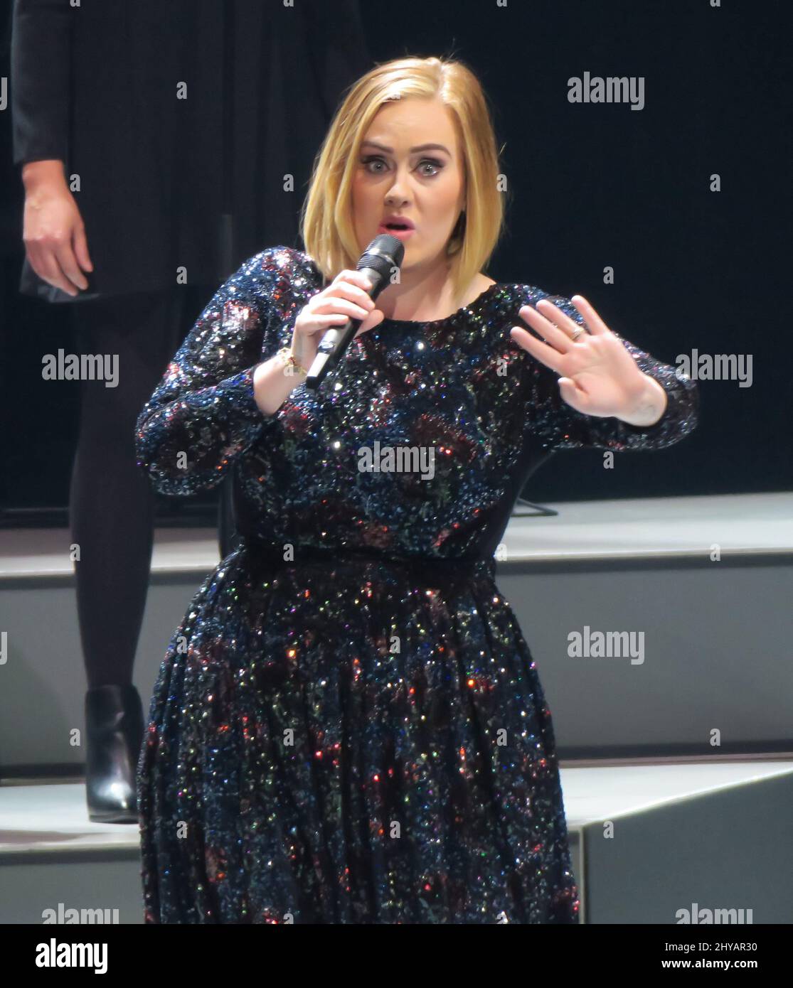 Adele peforms live in concert for her second night at the Bridgestone ...