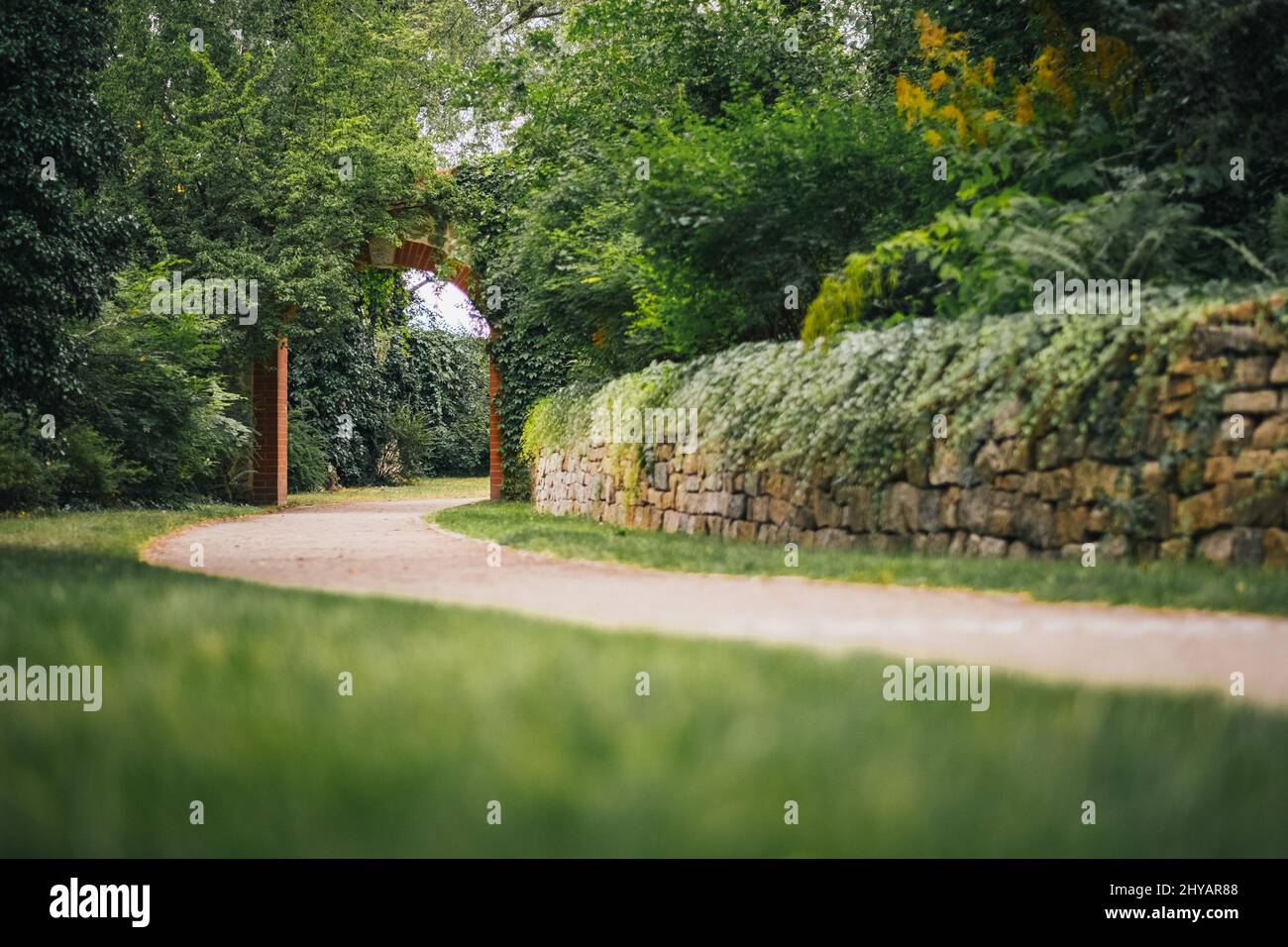 Beautiful park trees plants hi-res stock photography and images - Alamy