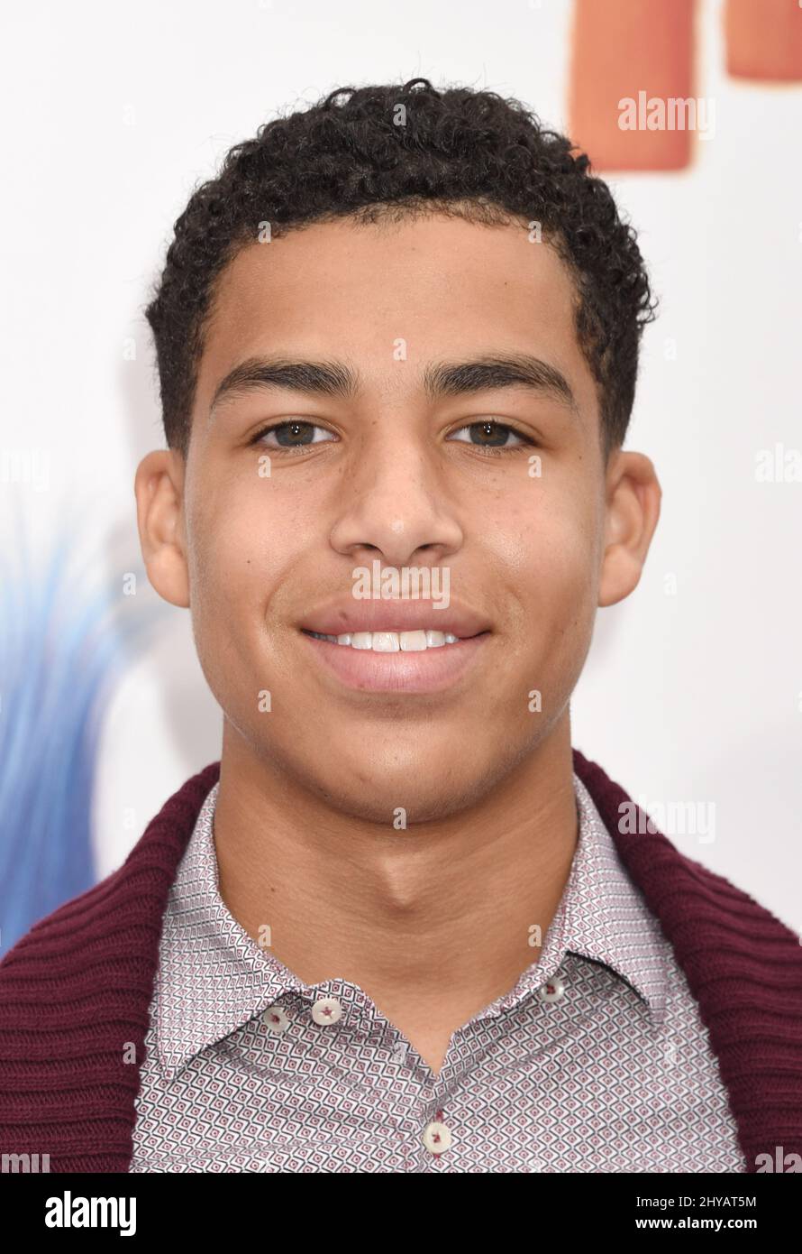 Marcus Scribner attending the Los Angeles premiere of Trolls Stock ...