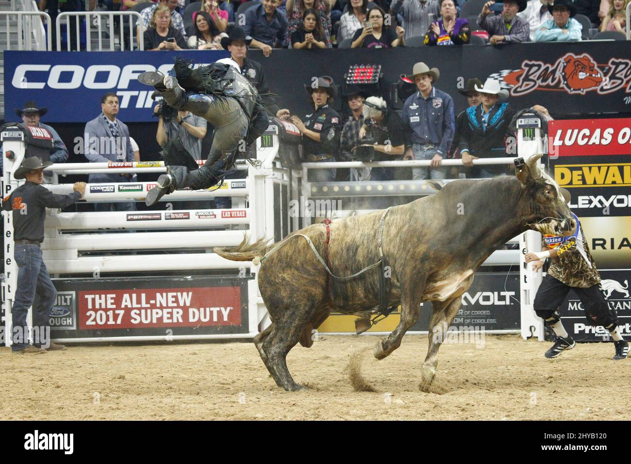 Lab rat hi-res stock photography and images - Alamy