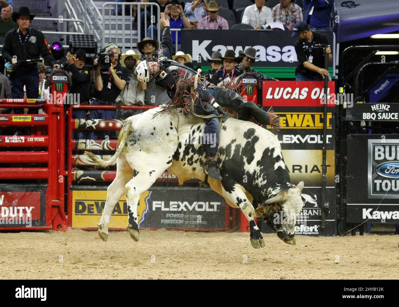 Cooper davis on hi-res stock photography and images - Alamy