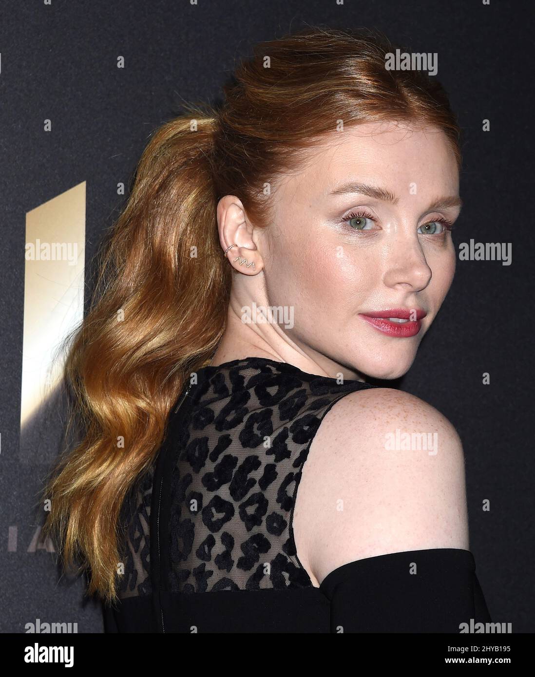 Bryce Dallas Howard attending the 20th annual Hollywood Film Awards at ...