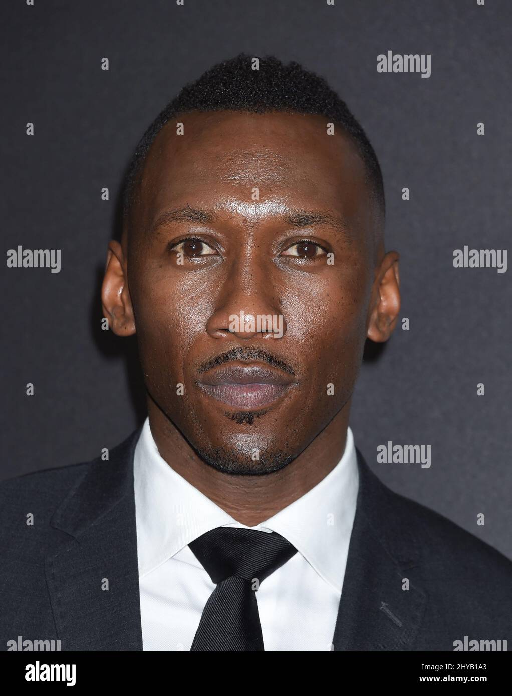 Mahershala Ali attending the 20th annual Hollywood Film Awards at the ...