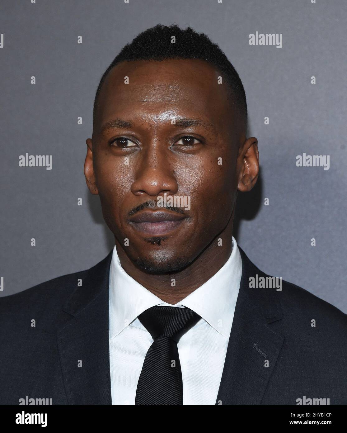 Mahershala Ali attending the 20th annual Hollywood Film Awards at the ...
