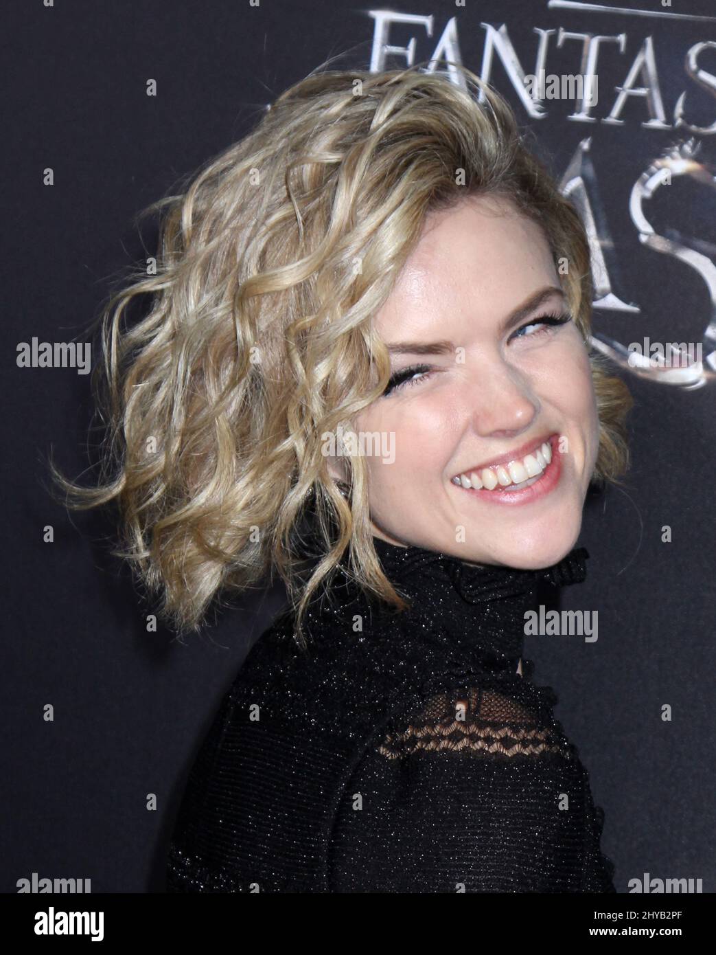 Erin Richards attends the world premiere of "Fantastic Beasts and Where ...