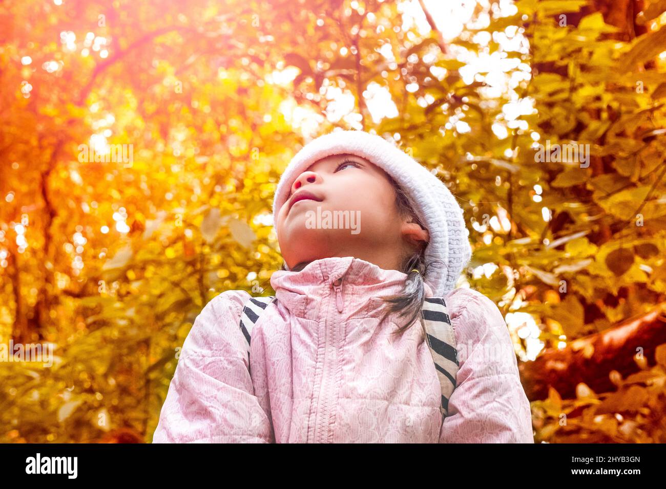 Child looking up at tree hi-res stock photography and images - Alamy
