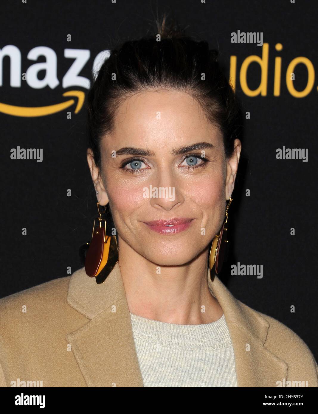 Amanda Peet attending the Los Angeles Premiere of 'Manchester By The ...