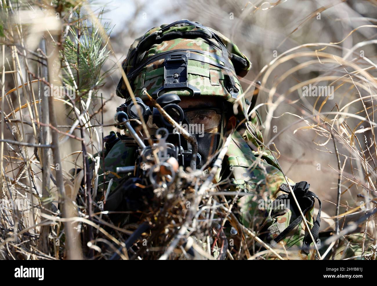 Self defence forces mount fuji hi-res stock photography and images - Alamy