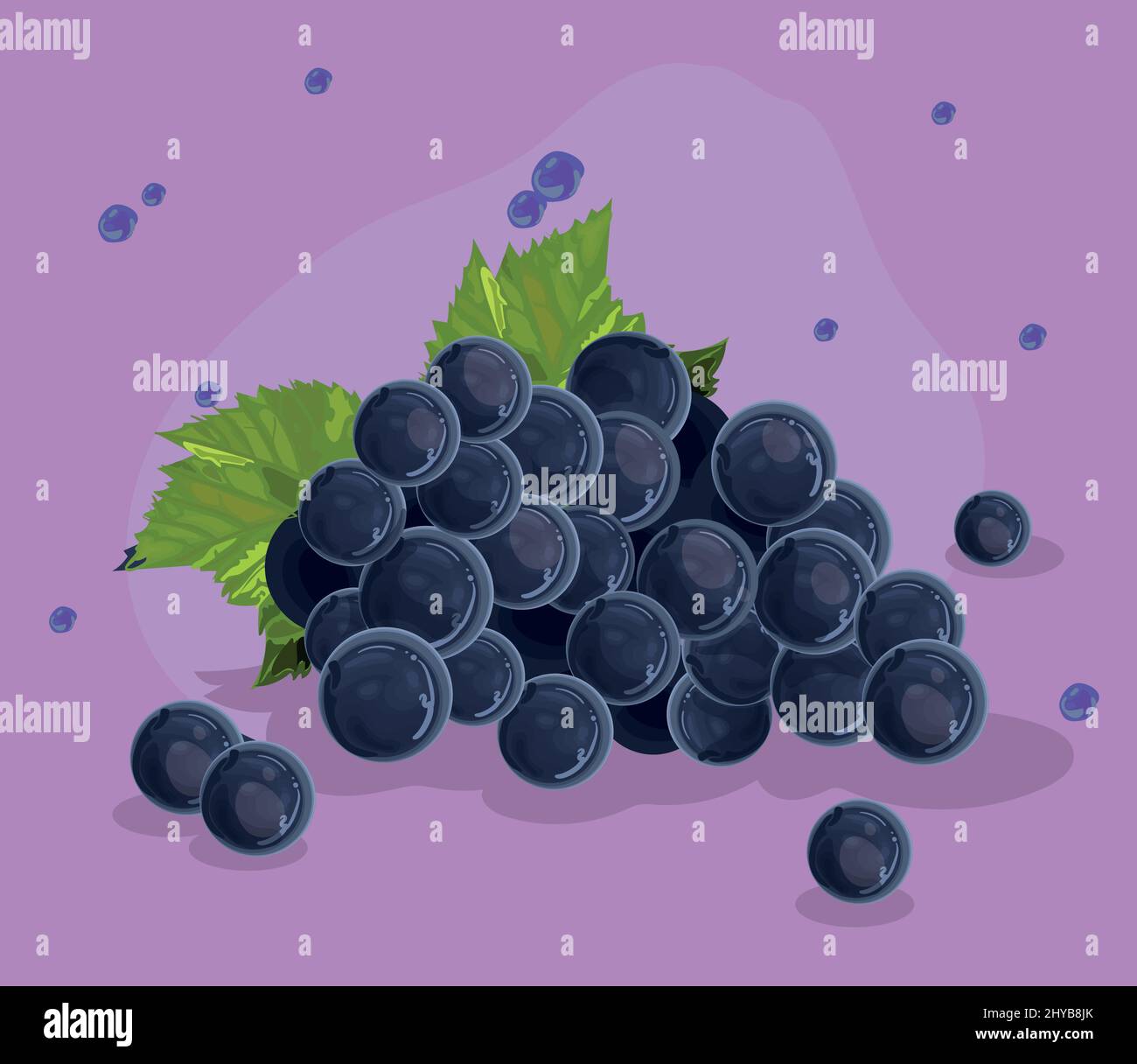 realistic grapes card Stock Vector Image & Art - Alamy
