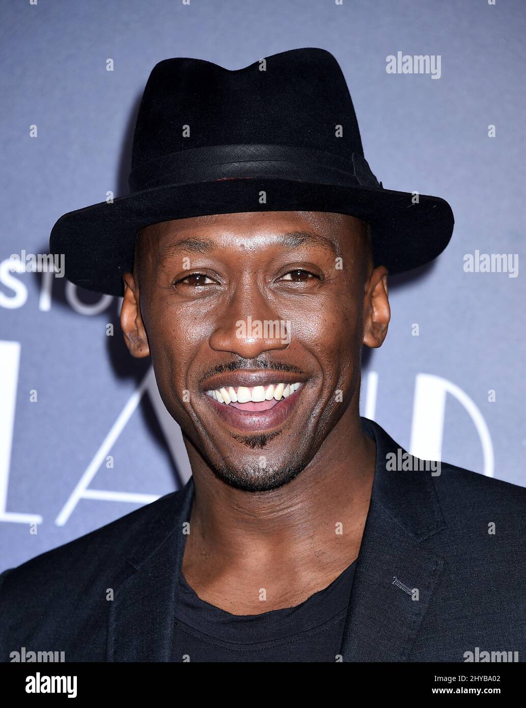 Mahershala ali hi-res stock photography and images - Alamy