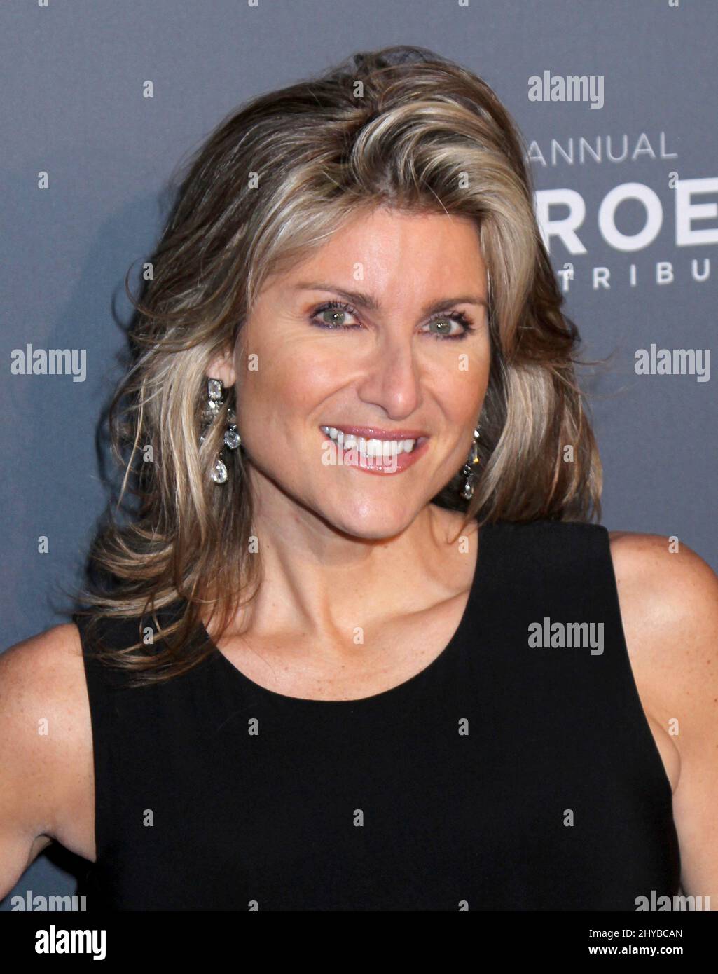 Ashleigh Banfield attends the 10th annual CNN Heroes: An All-Star ...