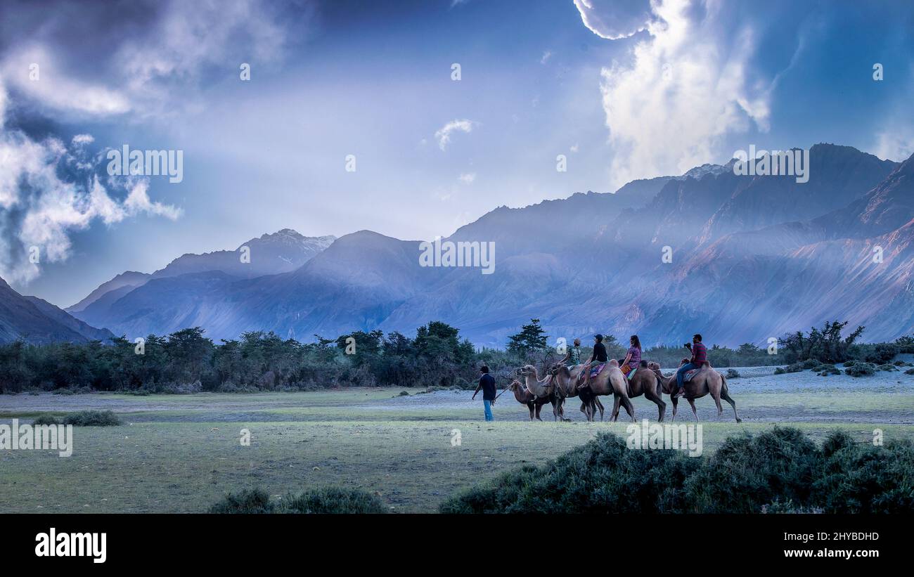 Group of people riding double-hump camels in the Hunder Sand Dunes ...