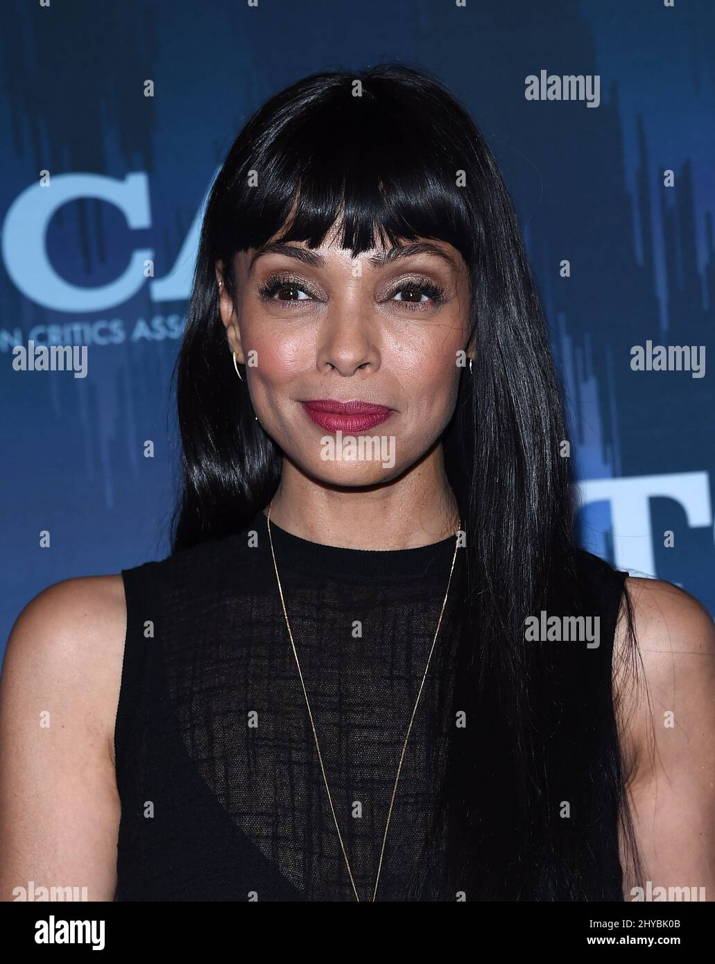 Tamara Taylor attends FOX Winter TCA All Star Party 2017 held at the ...