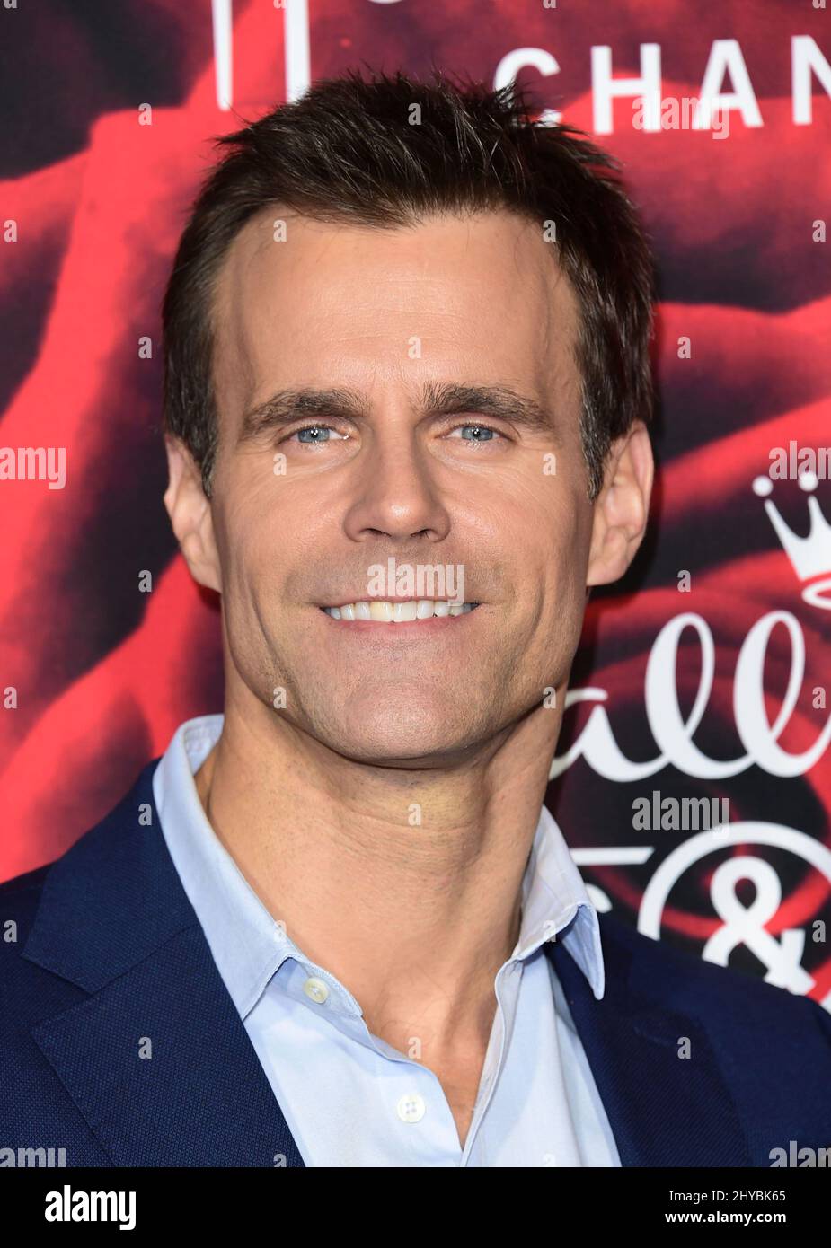 Cameron Mathison attending the Hallmark Channel and Hallmark Movies ...