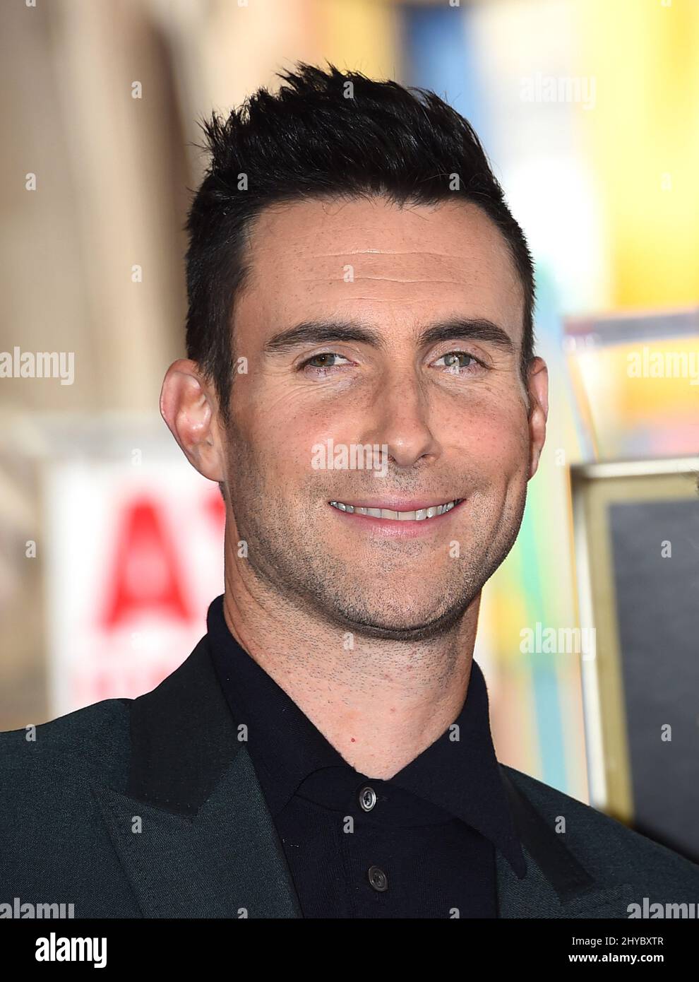 Shayna Levine's Instagram, Twitter & Facebook on IDCrawl