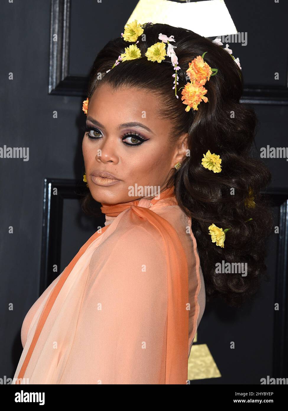 Audra Day attending the 59th Annual Grammy Awards in Los Angeles Stock ...