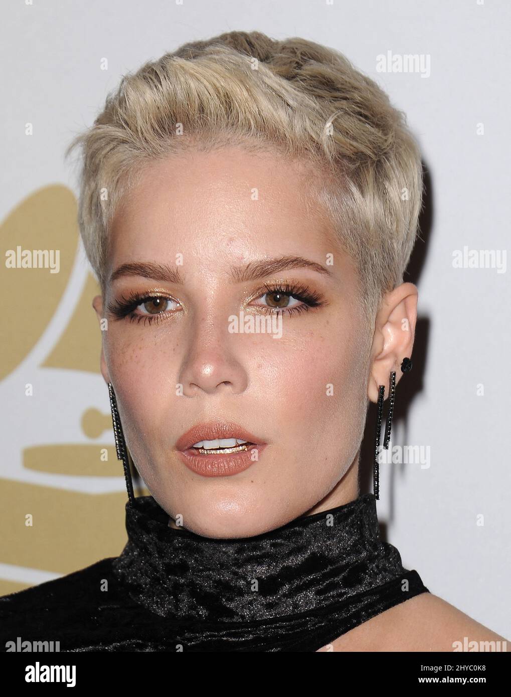 Halsey attends the 2017 Pre-GRAMMY Gala and Salute To Industry Icons ...