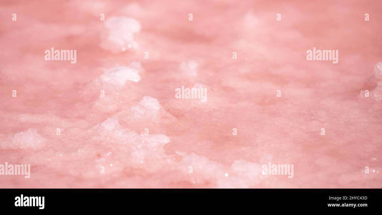 Pink salt cristales. Natural pink salt lake texture. Salt mining ...