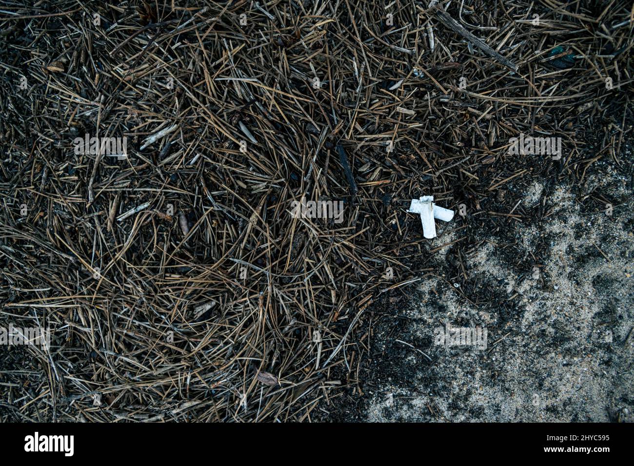 Top view of two cigarettes laying on each other on a grass covered ...