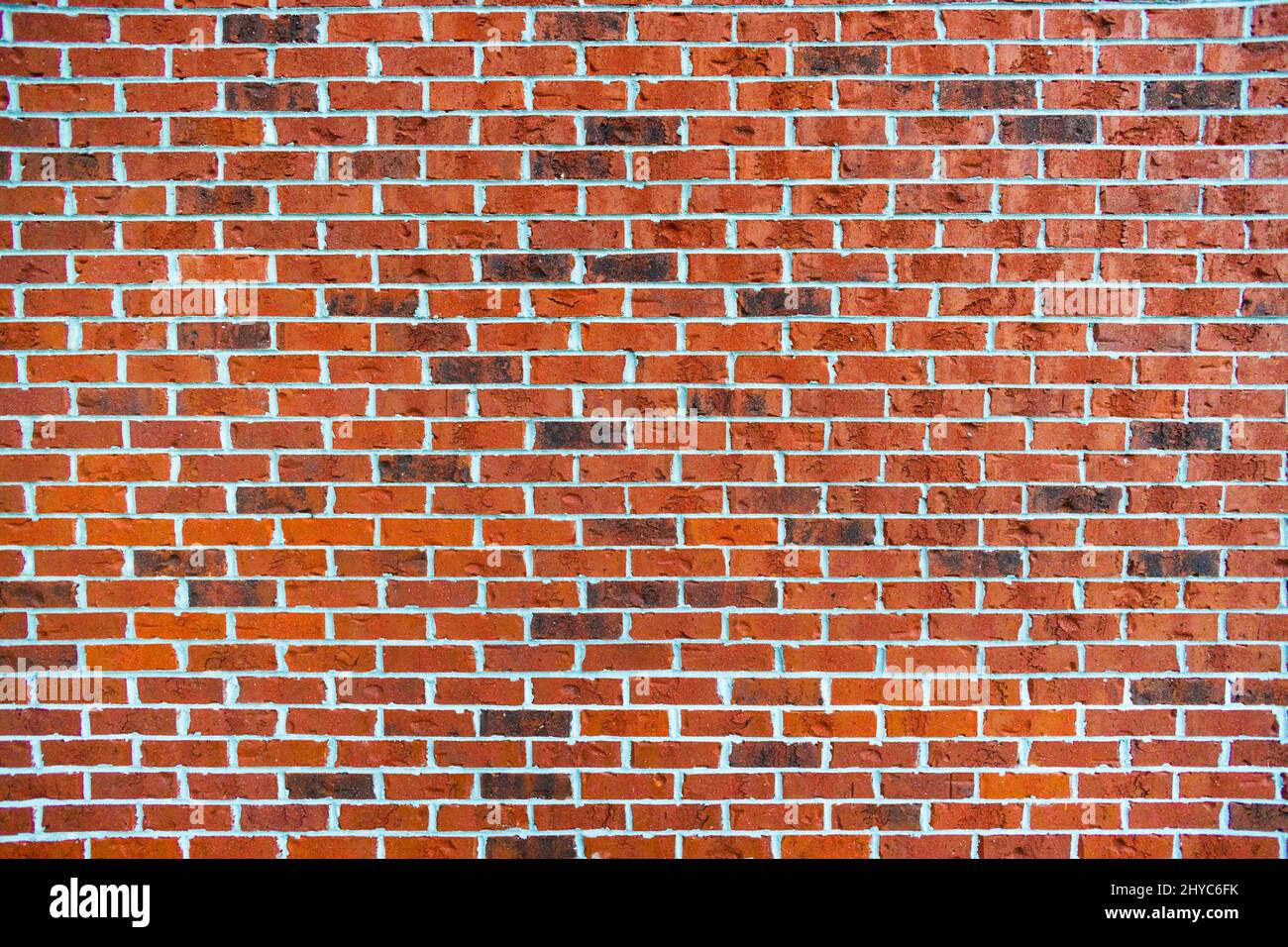 Thin brick wall with different shades of red bricks Stock Photo - Alamy