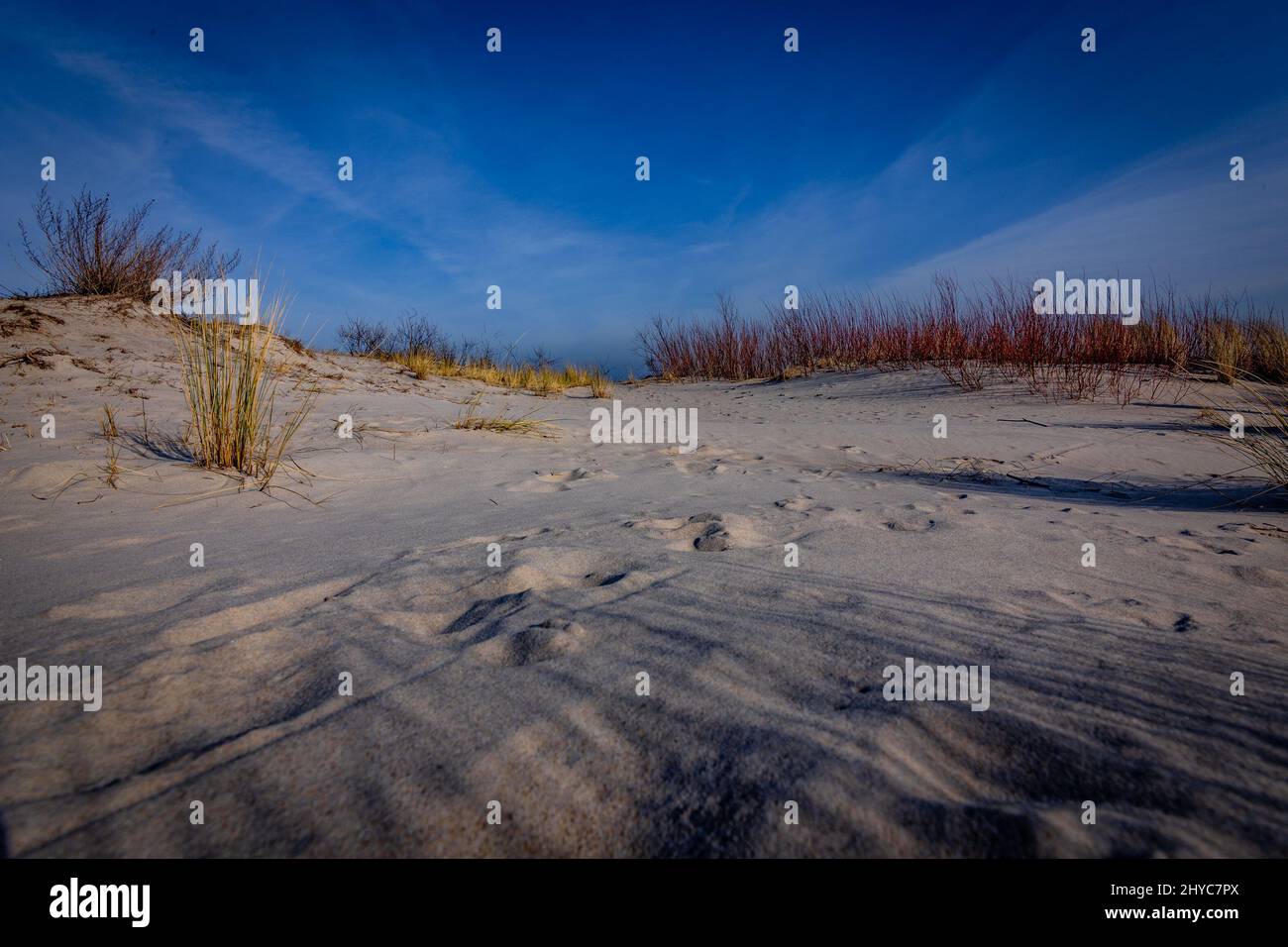 Sand beach with sea grasses and blue country on the background Stock ...