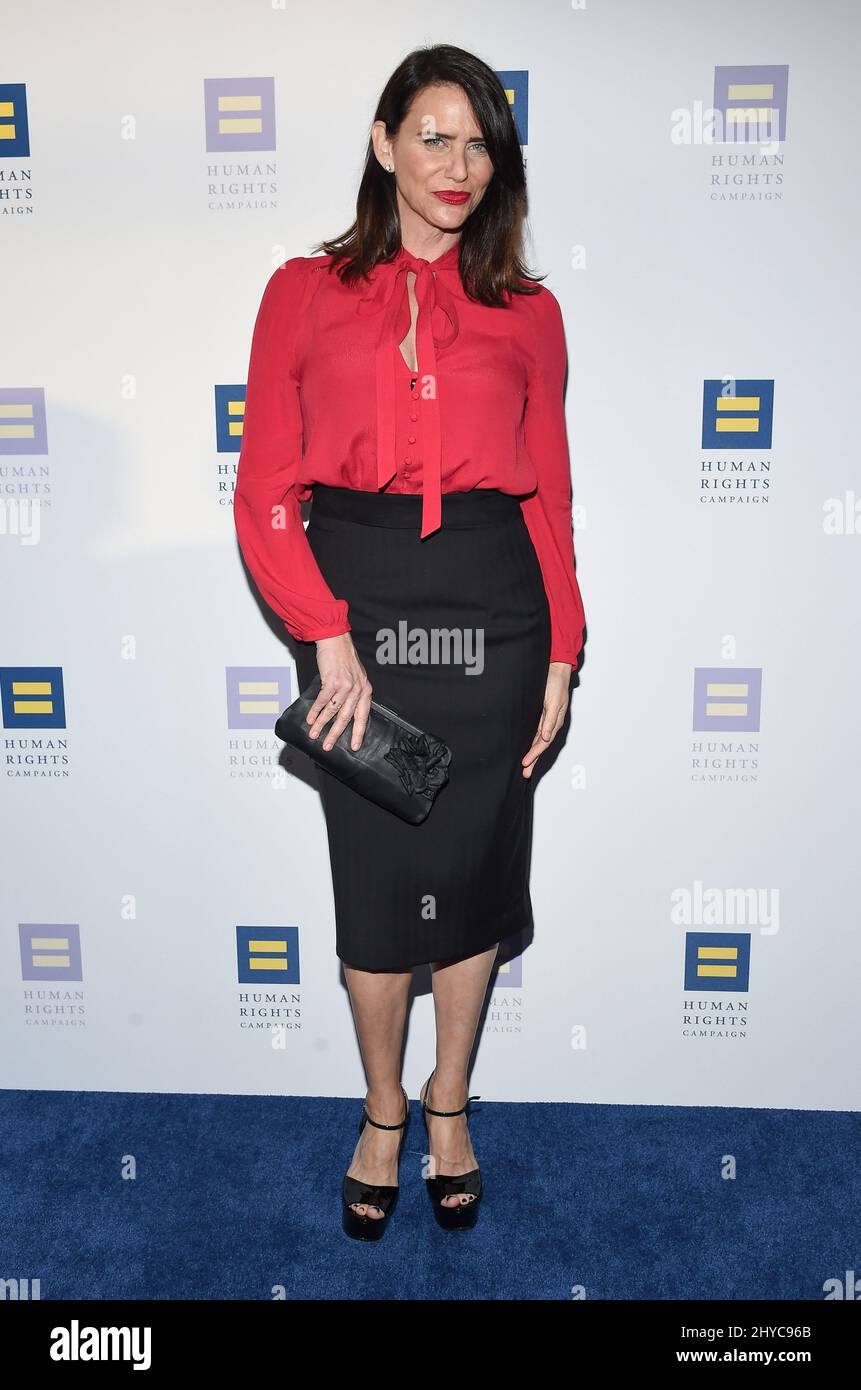 Amy Landecker arriving to the Human Rights Campaign 2017 LA Gala held ...