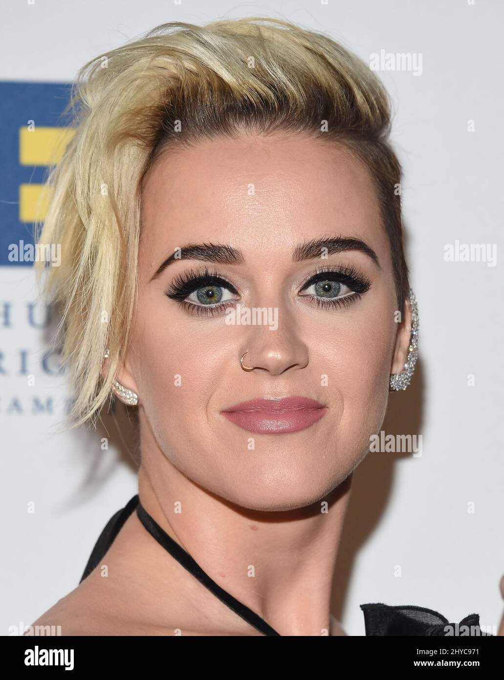 Katy Perry arriving to the Human Rights Campaign 2017 LA Gala held at ...