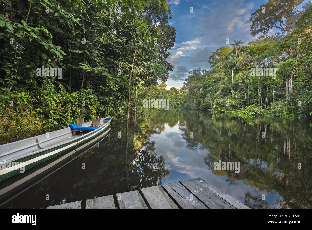 Sailboat on wooden port in Cuyabeno river Stock Photo - Alamy