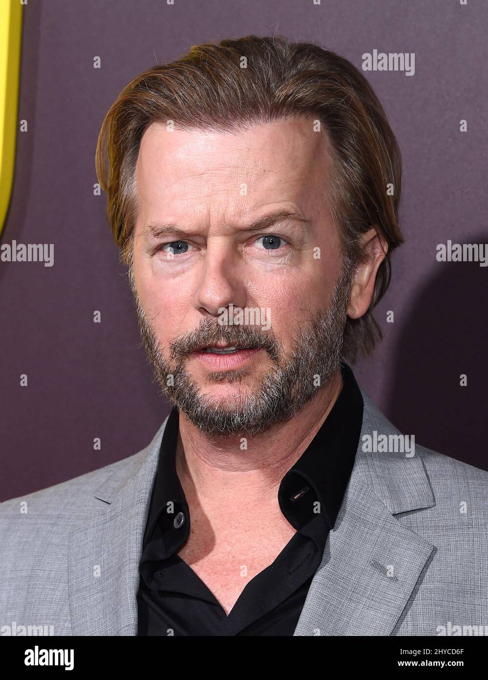 David Spade arriving to Netflix's "Sandy Wexler" Los Angeles Premiere ...
