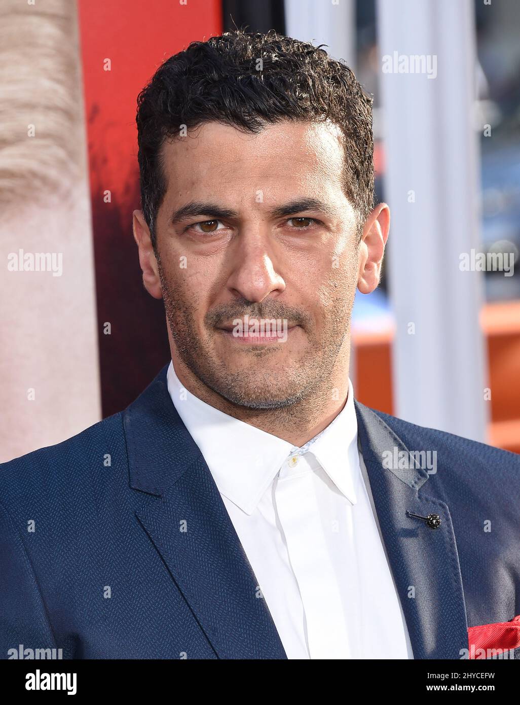 Simon Kassianides attending the Los Angeles premiere of Unforgettable ...