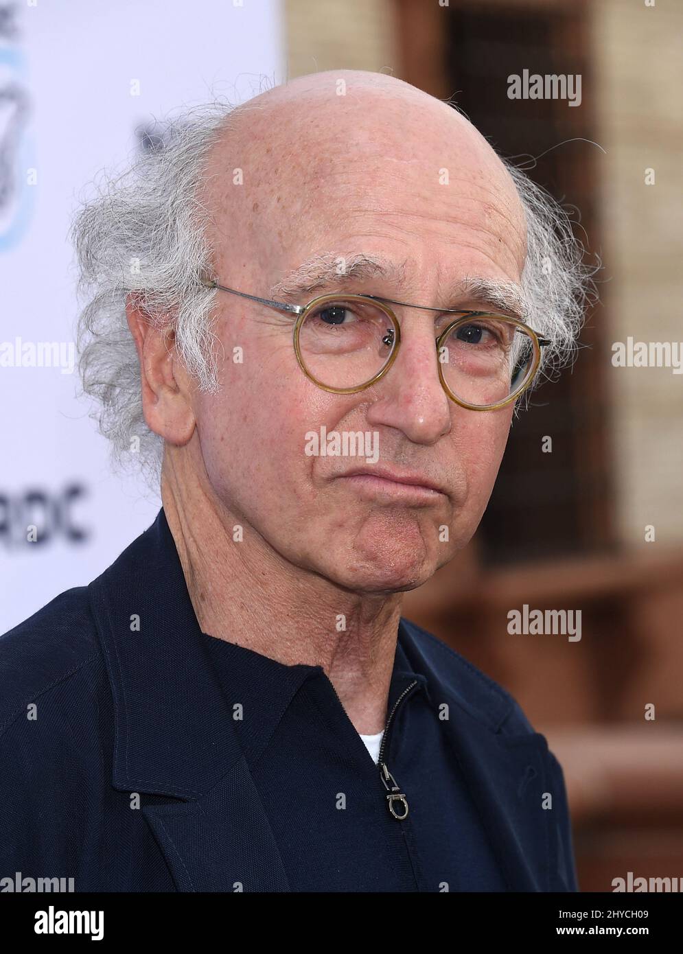 Larry David attending the Natural Resources Defense Council's STAND UP ...