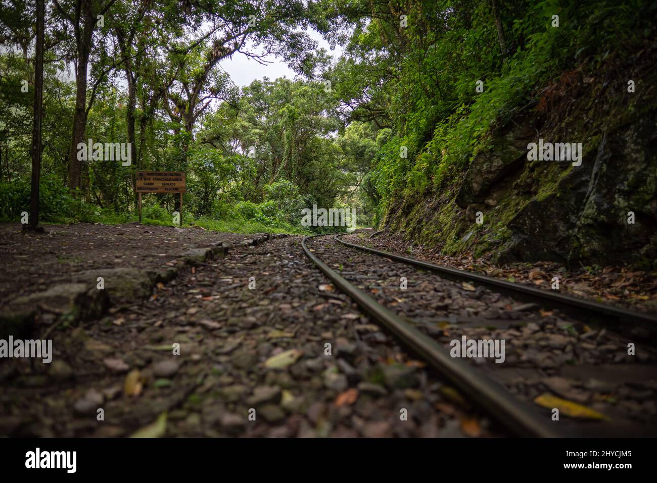 Old train track in the mountain forest of Machu Picchu, Peru Stock ...