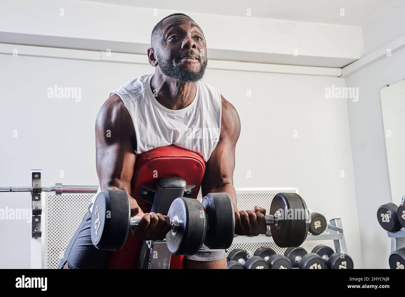 An African-American man shakes his biceps on an inclined bench in the ...