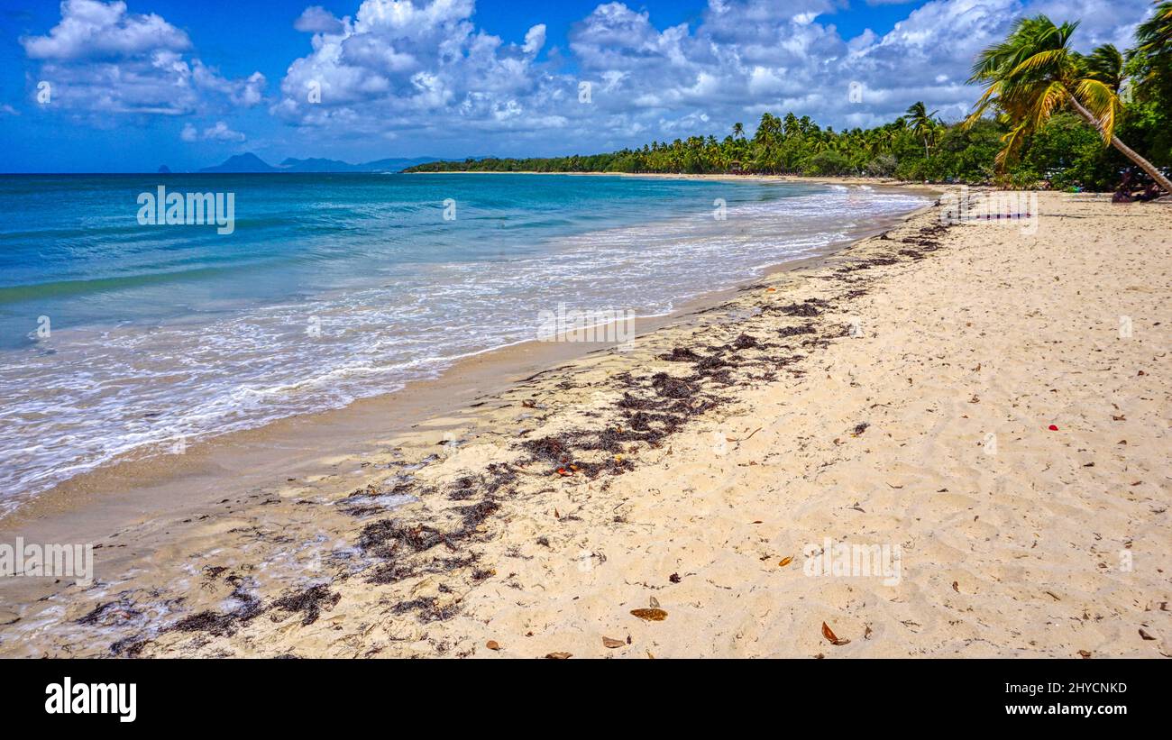 Beautiful picture of a seashore Stock Photo - Alamy