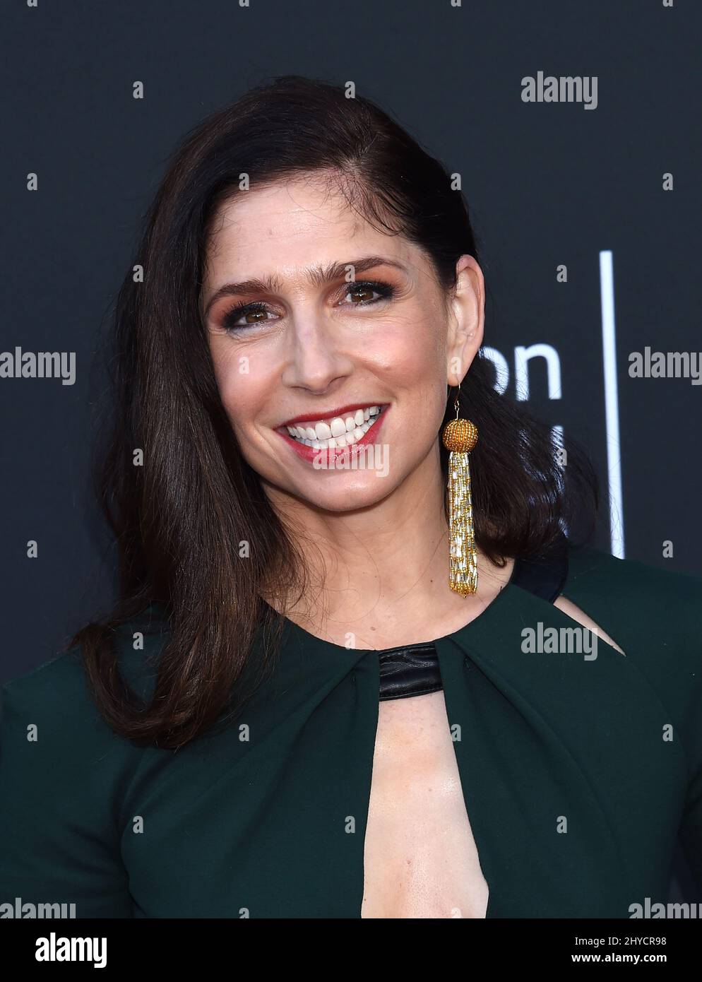 Shoshannah Stern Married