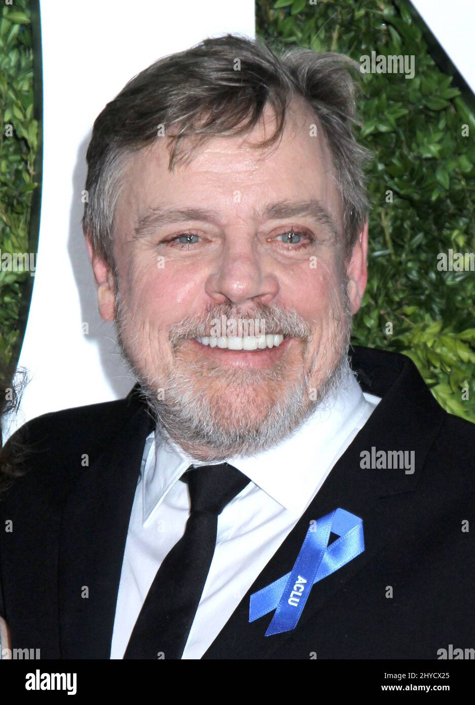 Mark Hamill attending the 71st Annual Tony Awards in New York Stock ...