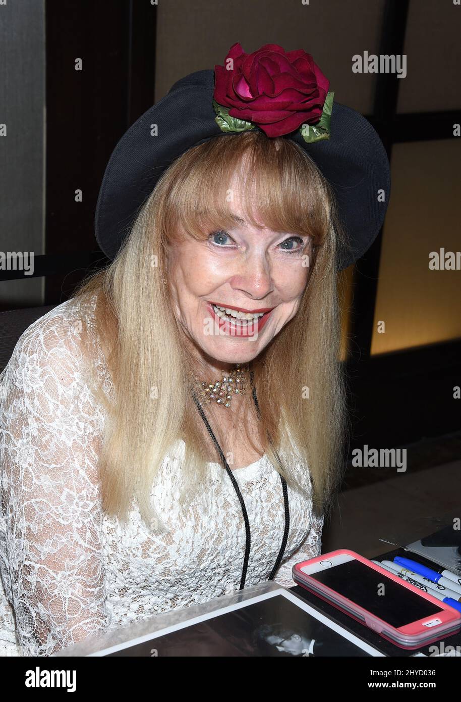 Terry moore hi-res stock photography and images - Alamy