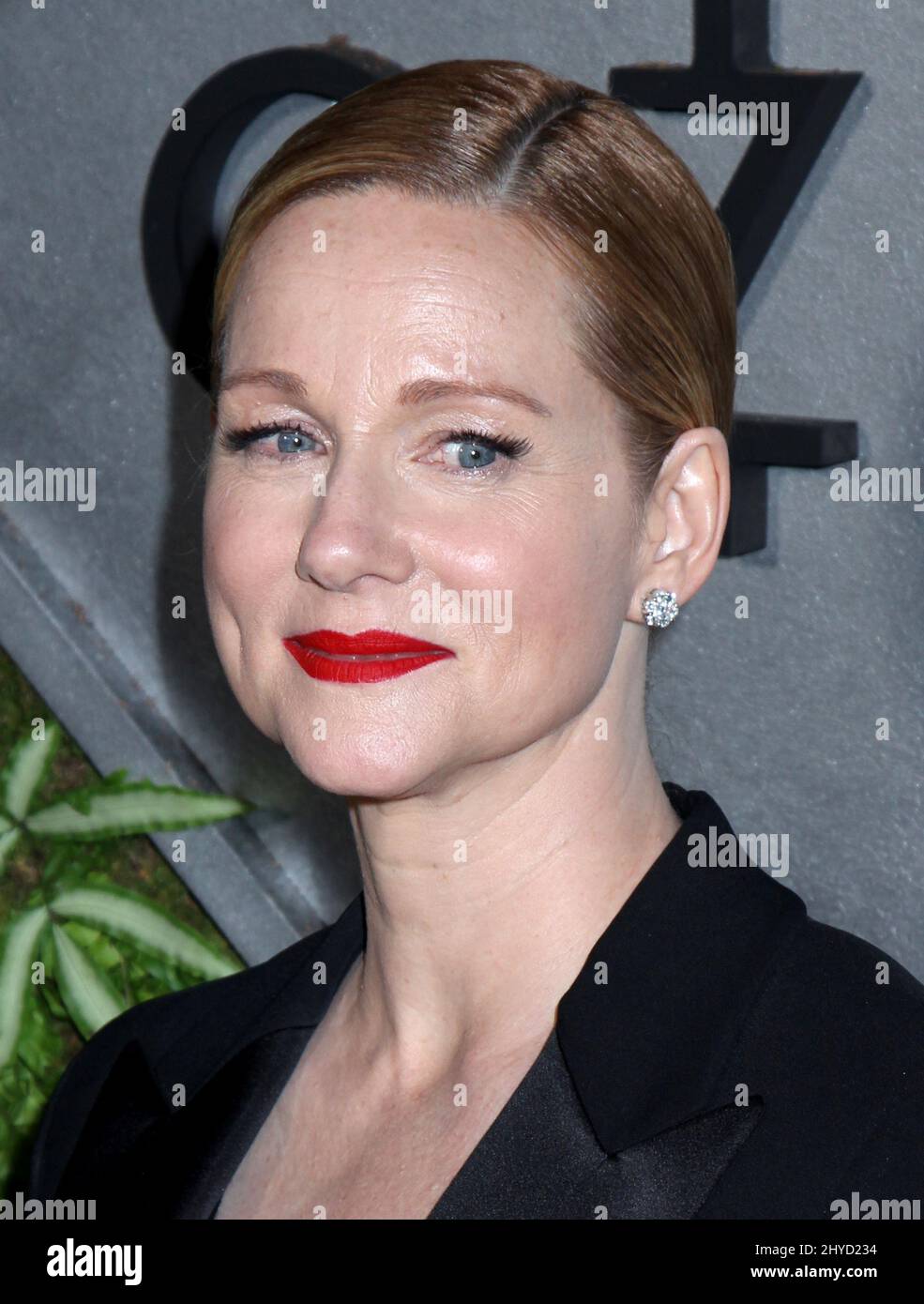 Laura linney portrait hi-res stock photography and images - Alamy