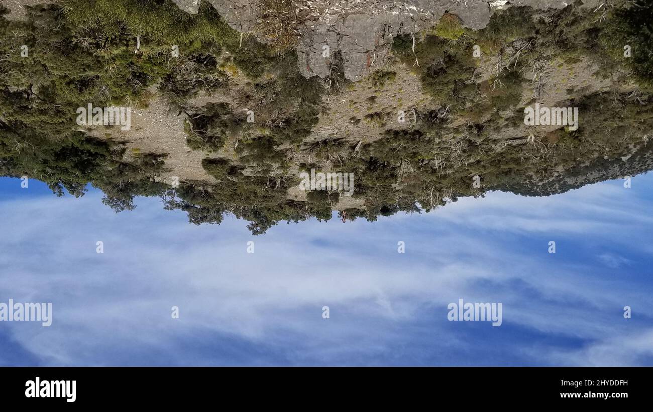 Panoramic view of hill with trees, bushes and plants Stock Photo - Alamy