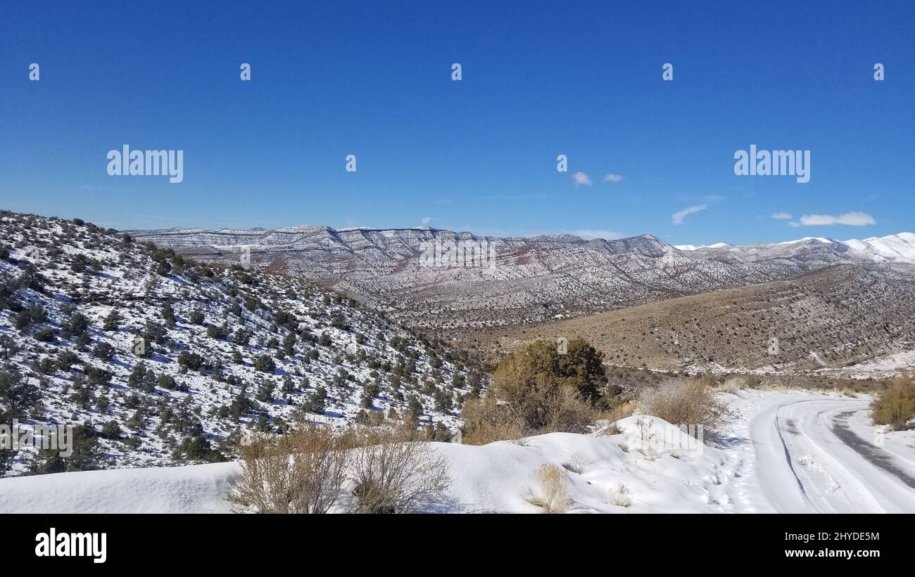Panoramic view of snowy hills and rocks with lots of bushes Stock Photo ...