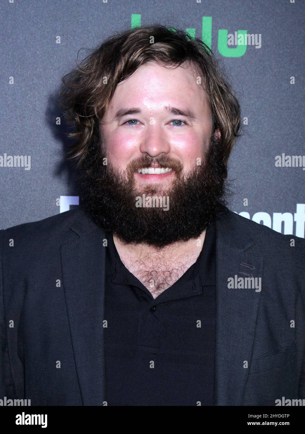 Haley Joel Osment attending the Hulu/Entertainment Weekly New York ...