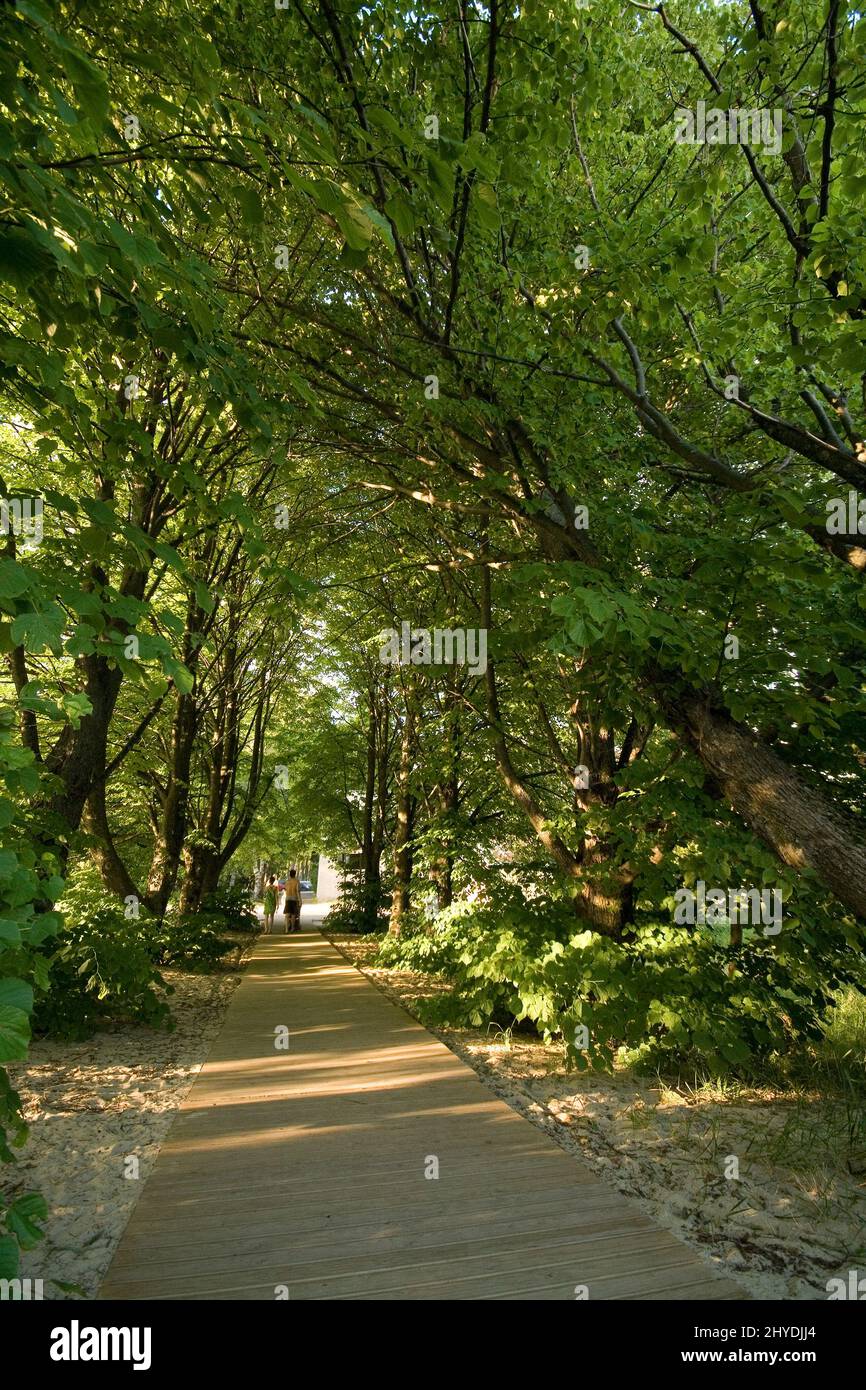 Sunny pathway hi-res stock photography and images - Alamy