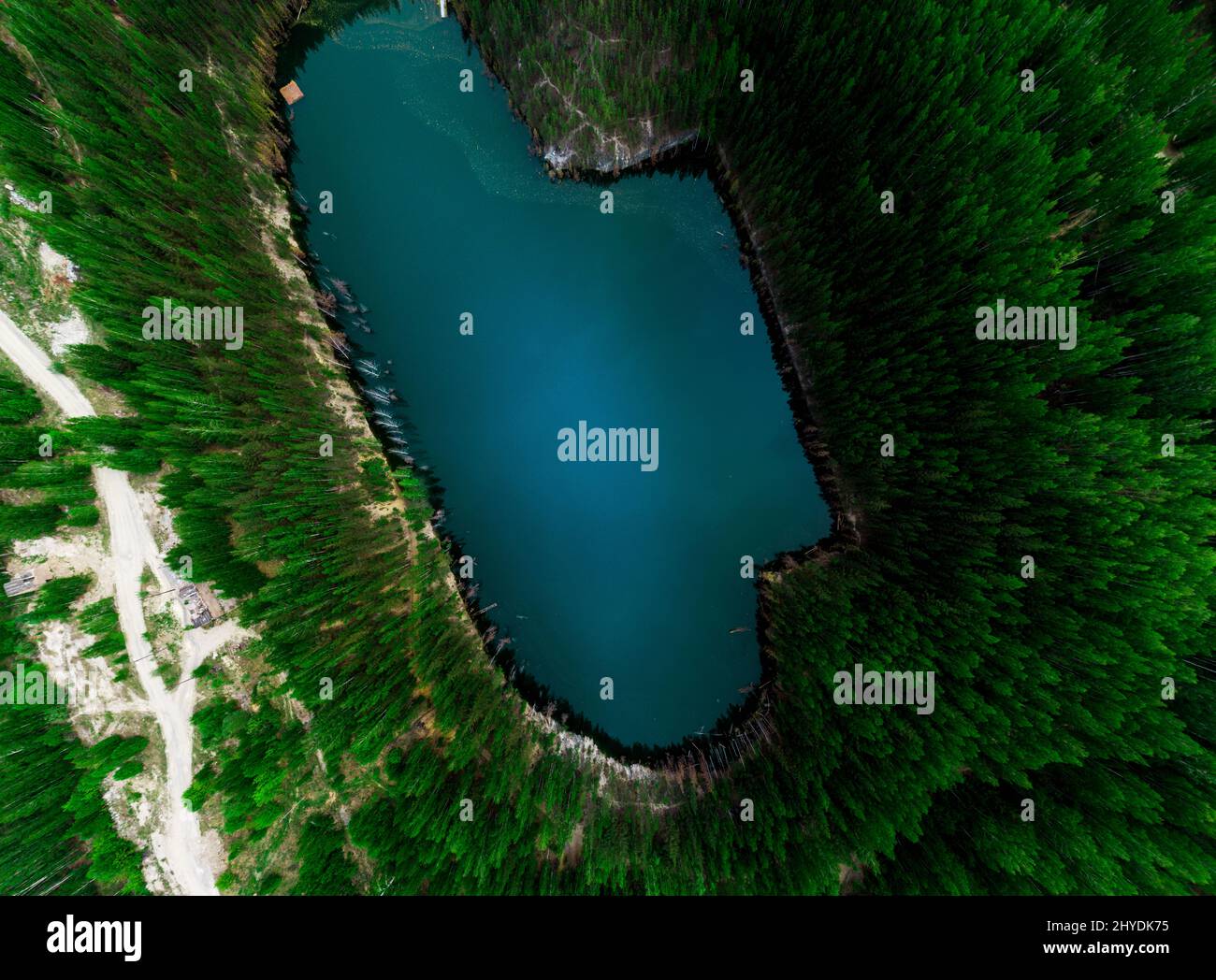 Aerial view of a small lake surrounded by high green trees Stock Photo ...