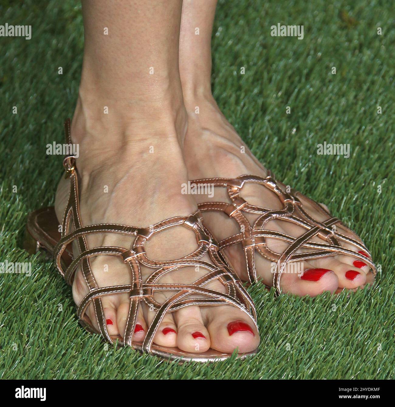 Laura Dern attending the Eighth Annual Veuve Clicquot Polo Classic held ...