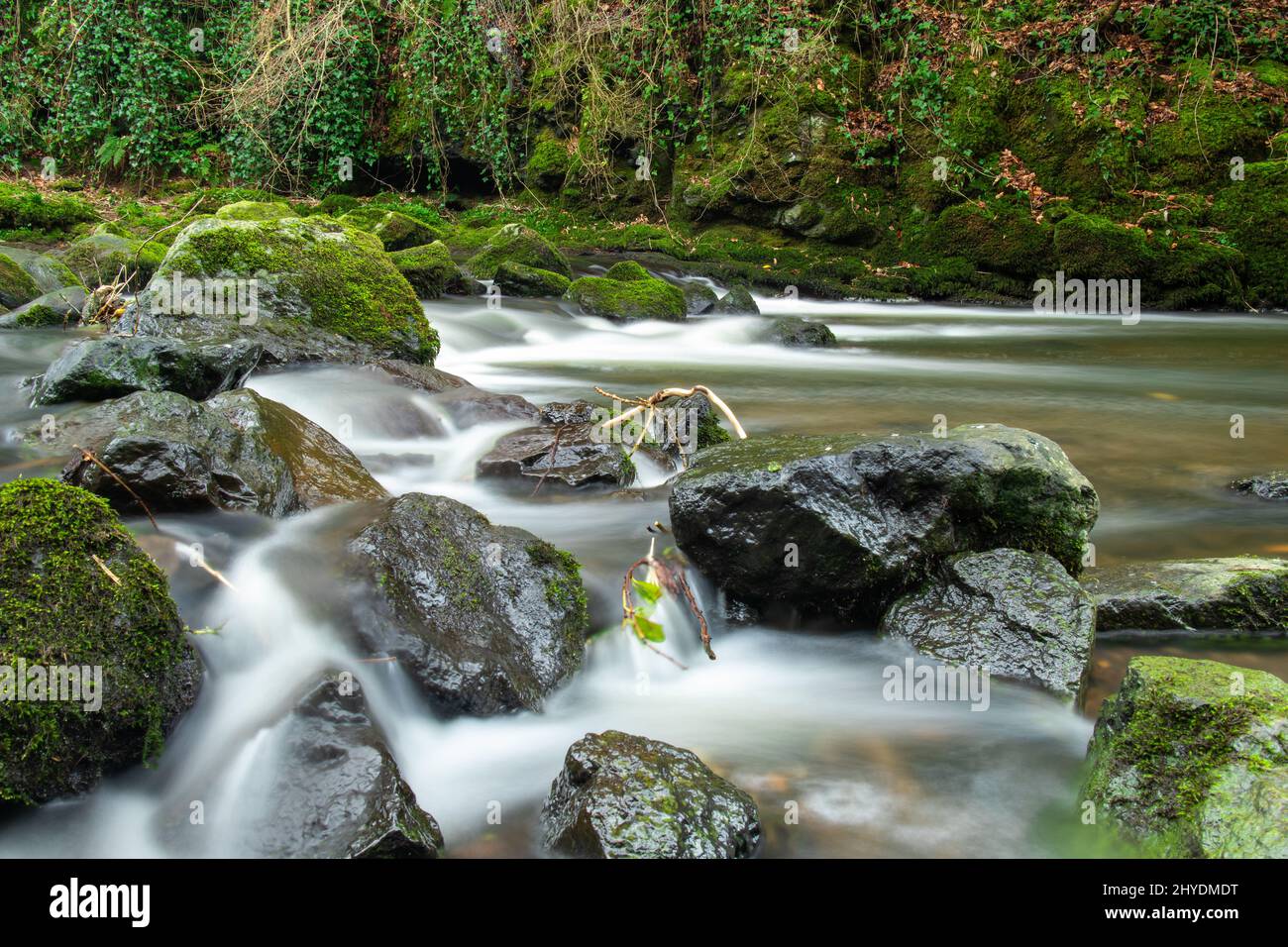 Beautiful landscape of a soothing river flowing on the mossy rocks in ...