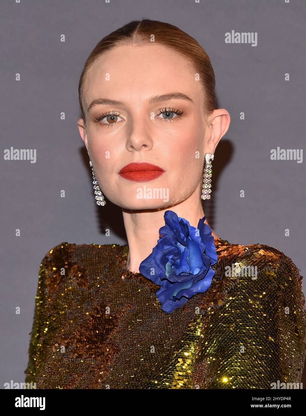 Kate Bosworth Red Carpet Style
