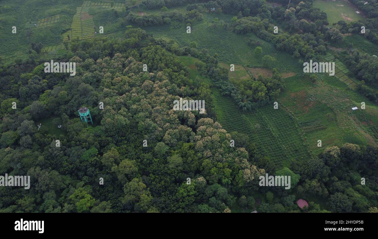 Bird's eye view of grasslands and trees Stock Photo - Alamy
